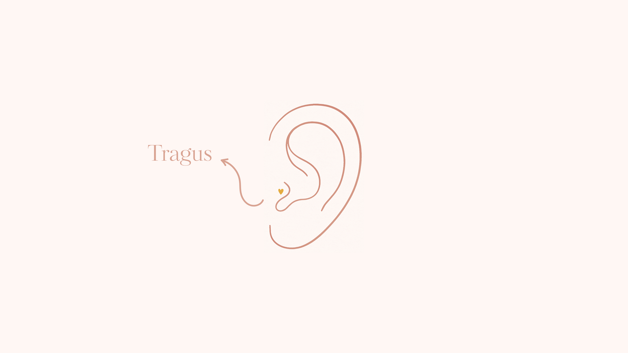 Tout savoir sur le piercing tragus : prix, cicatrisation & guide ...